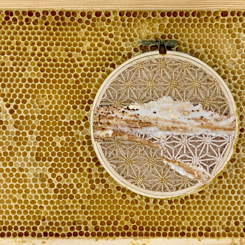 C11 Ava Roth / Anton Piatigorsky - The Scales Project