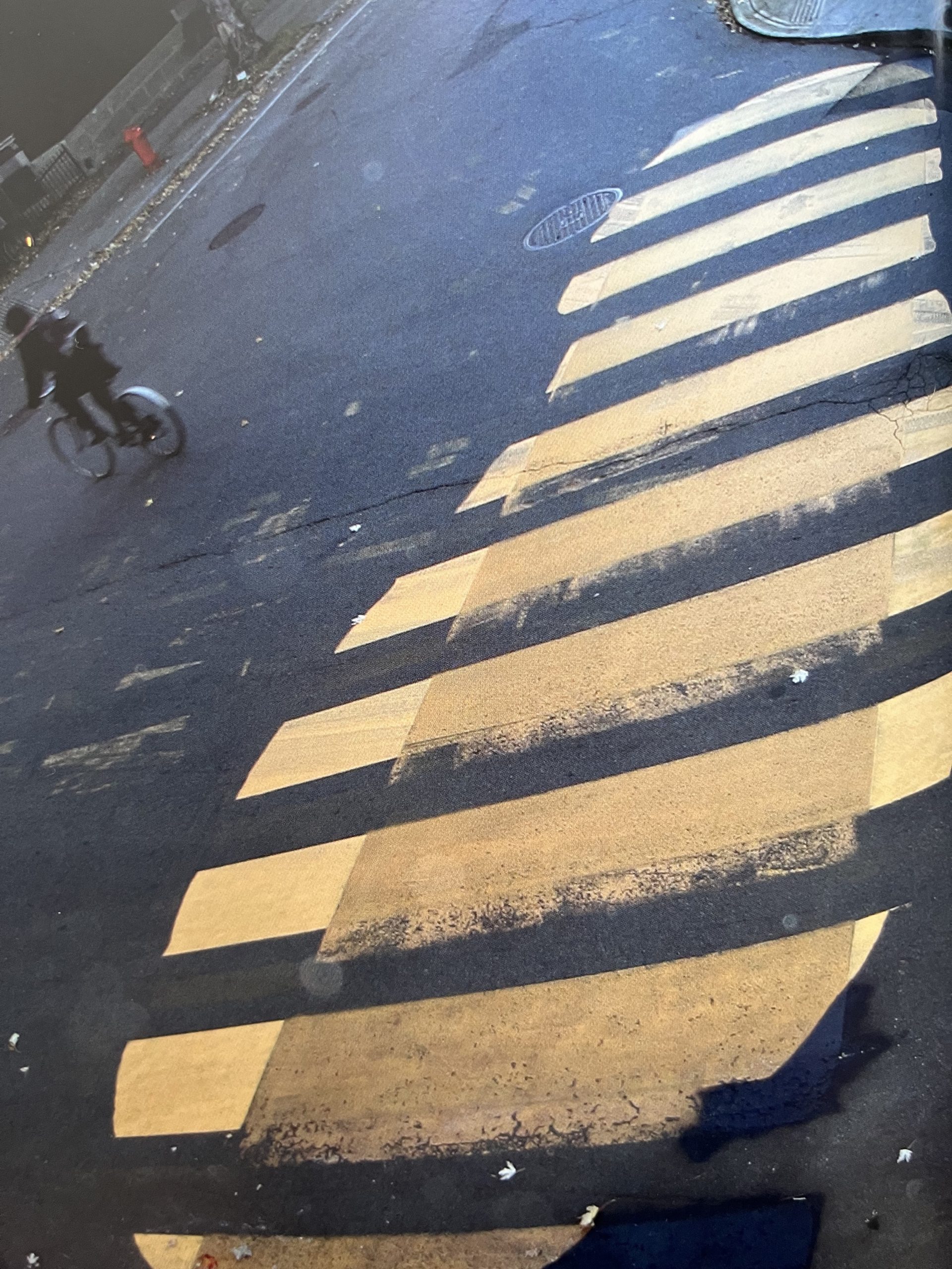 Art and Activism: A conversation with Kim Goldberg - The Scales Project